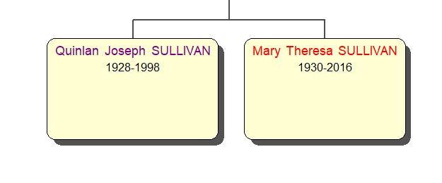 Patrick Sullivan & Mary Murphy – Who Do We Think They Were?